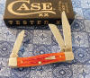 CASE INDIAN PAINT BRUSH BONE KNI